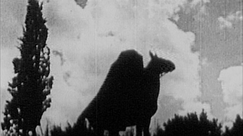 5 Film Appearances of the Legendary Headless Horseman | Coffee or Die