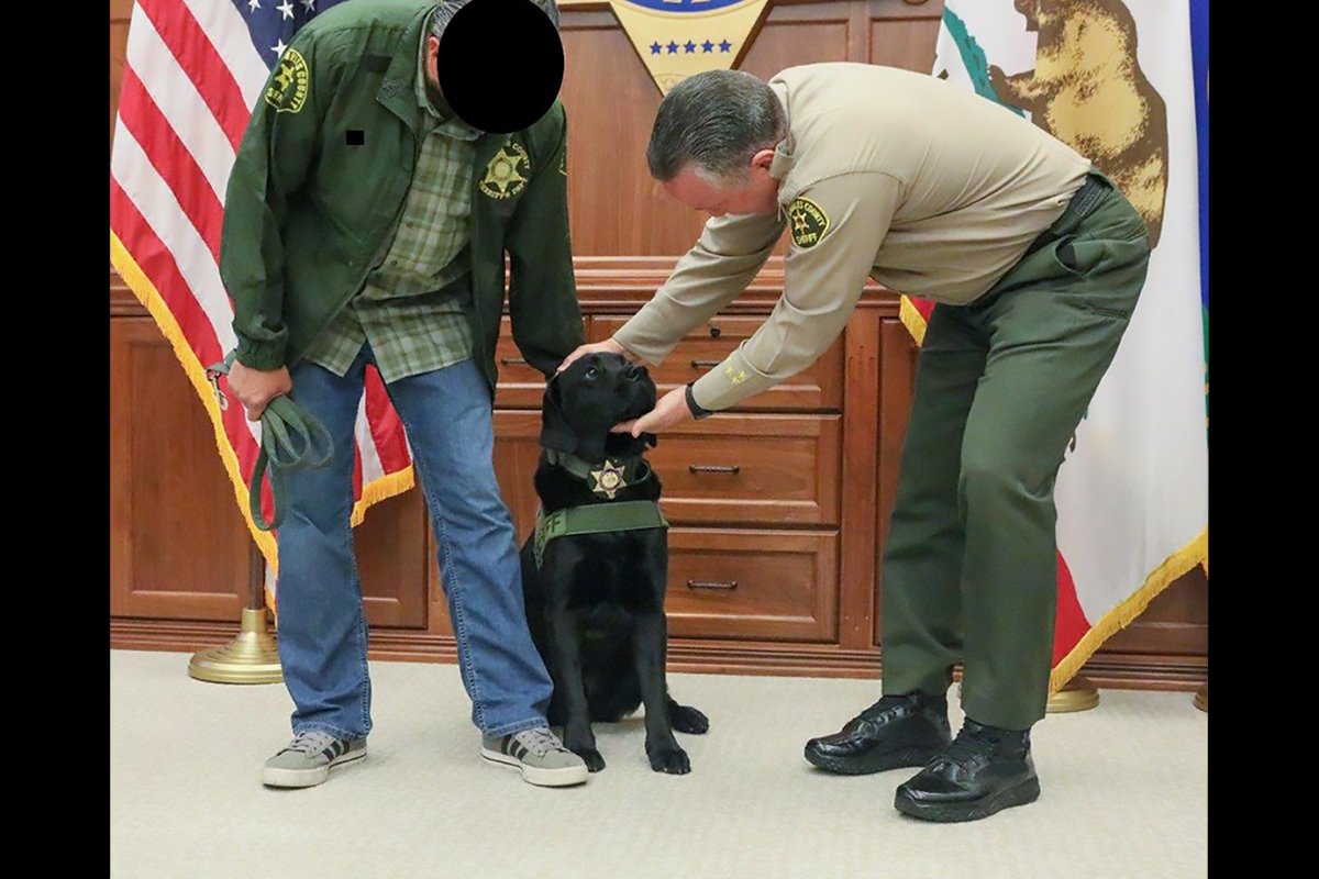 Los Angeles Sheriff’s Newest K9 Takes a Bite Out of Digital Crime ...