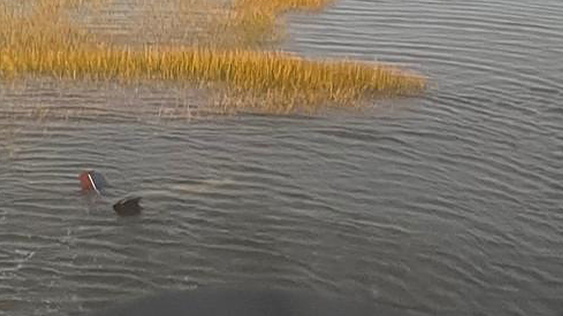 301 Moved Permanently