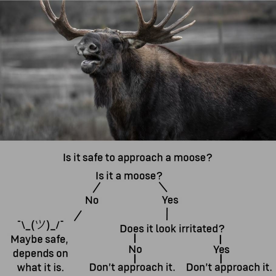 Warning: This Moose Will Straight-Up Murder Your Ass | Coffee or Die