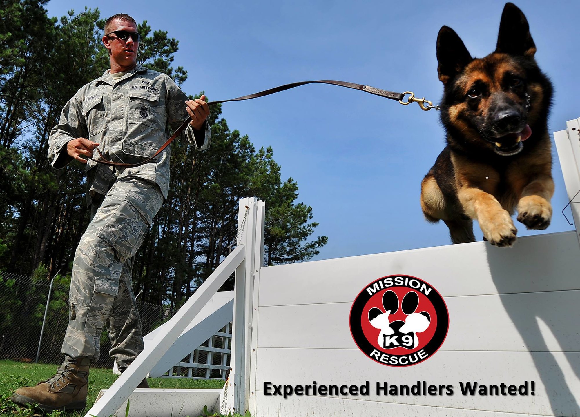 Mission K9 Rescue is Finding Homes for Heroic Dogs | Coffee or Die