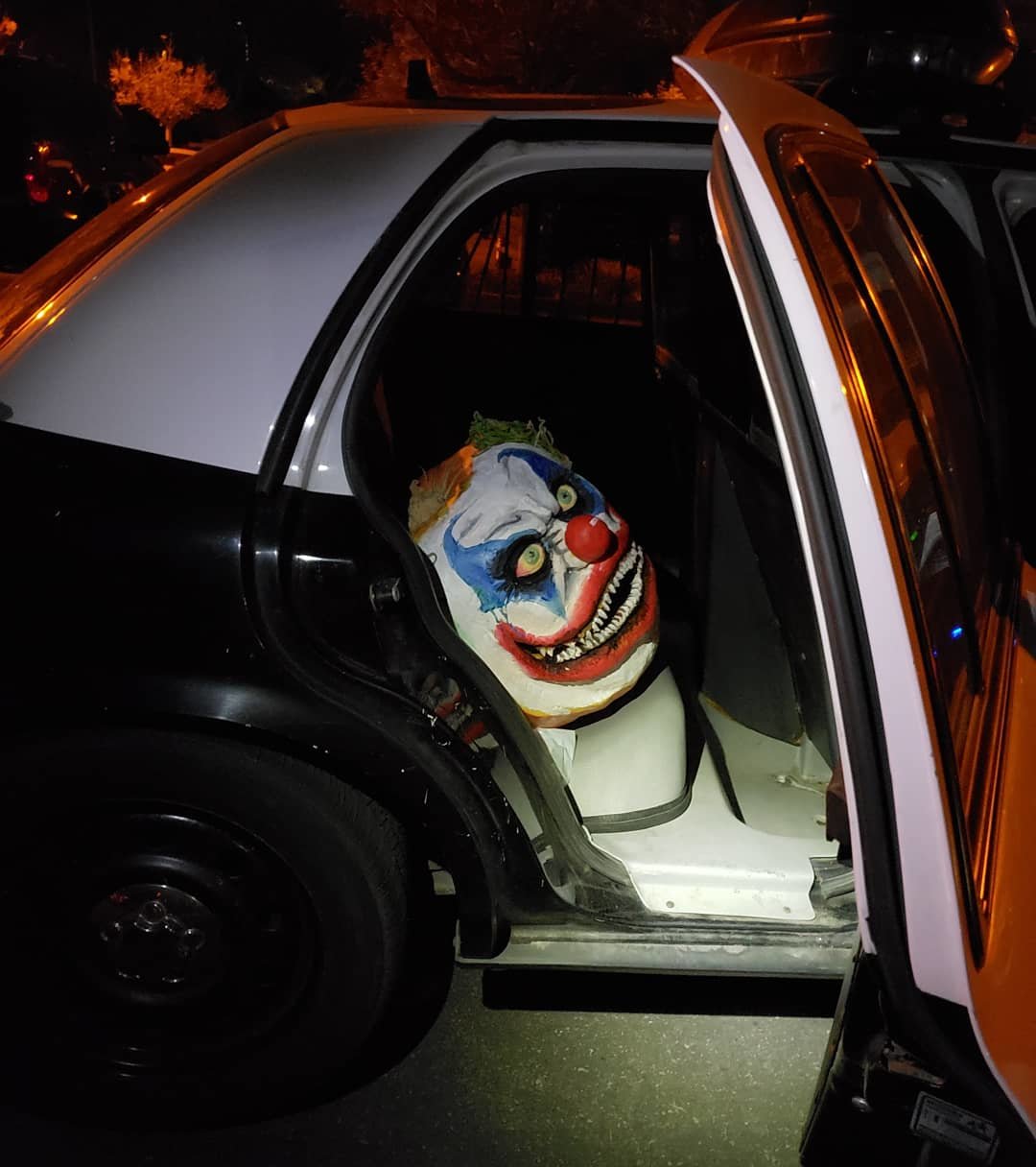 Monique Hawk: The Jack-o’-Lantern of All Trades | Coffee or Die