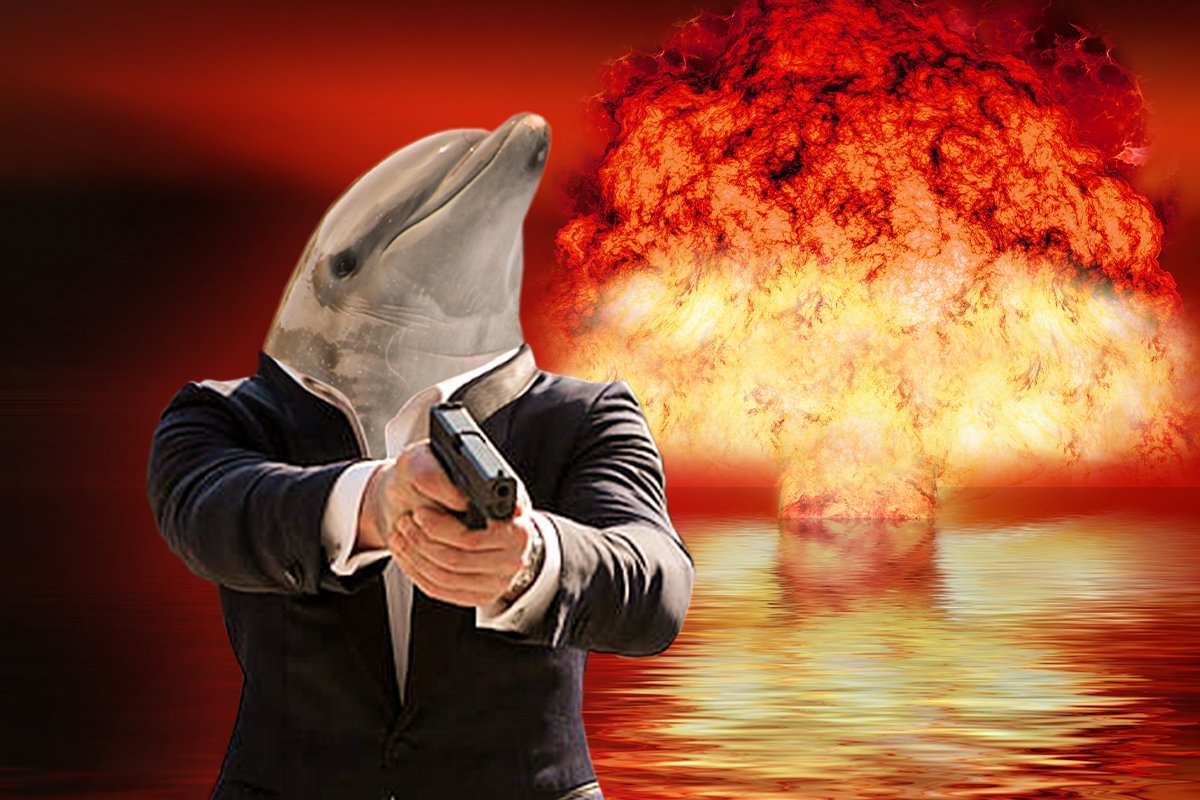 Israel Says Captured Spy Dolphin Lived and Died by His Own Rules ...