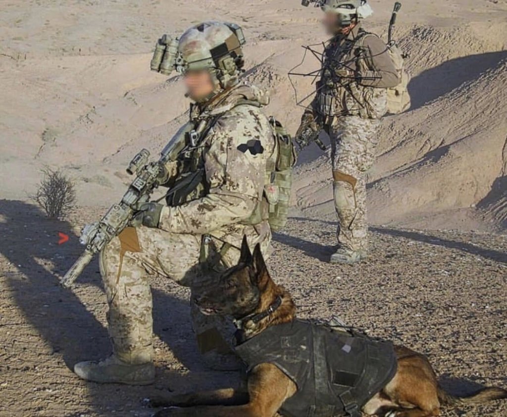 Weblo’s Final Flight: A Special Operations Military Working Dog ...