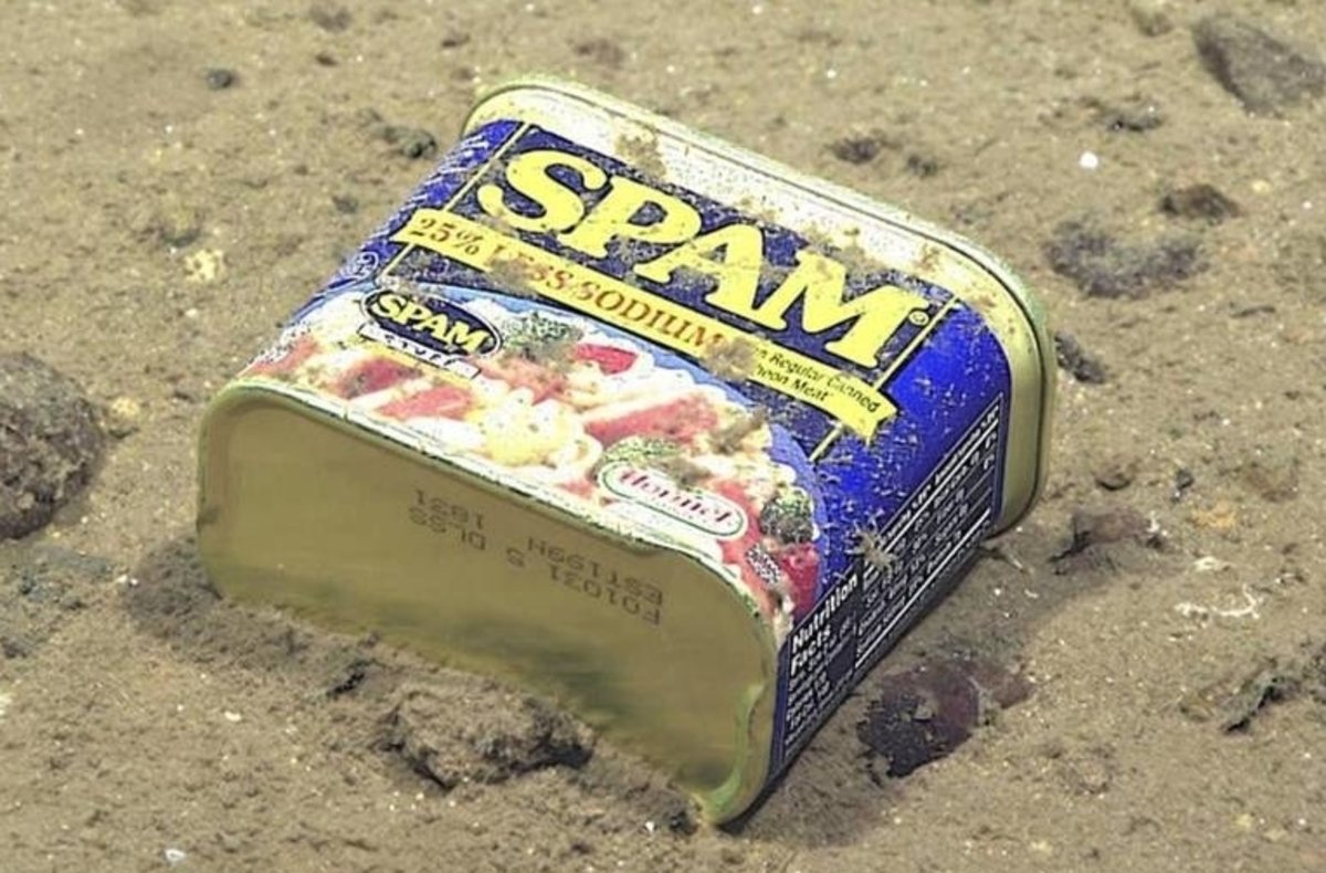 How Spam Became 1 of America’s Greatest Business Success Stories ...