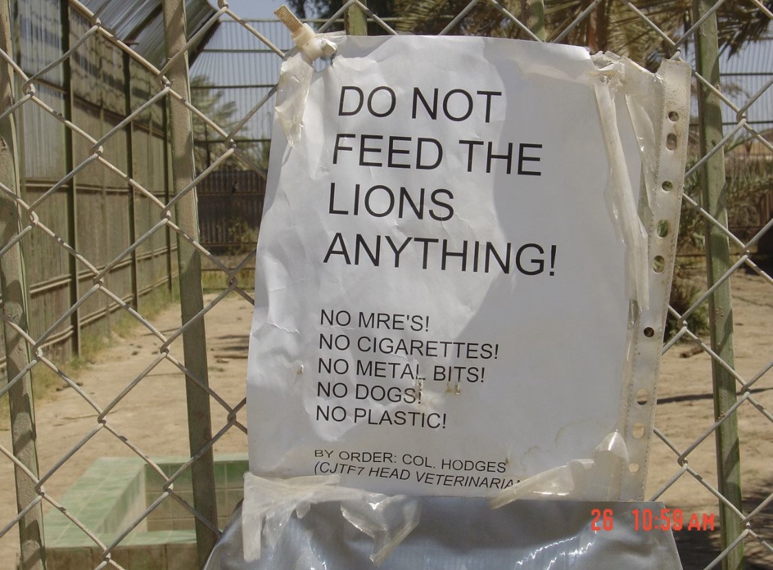 Don’t Feed the Lions: The Unbelievable Rescue at the Baghdad Zoo ...