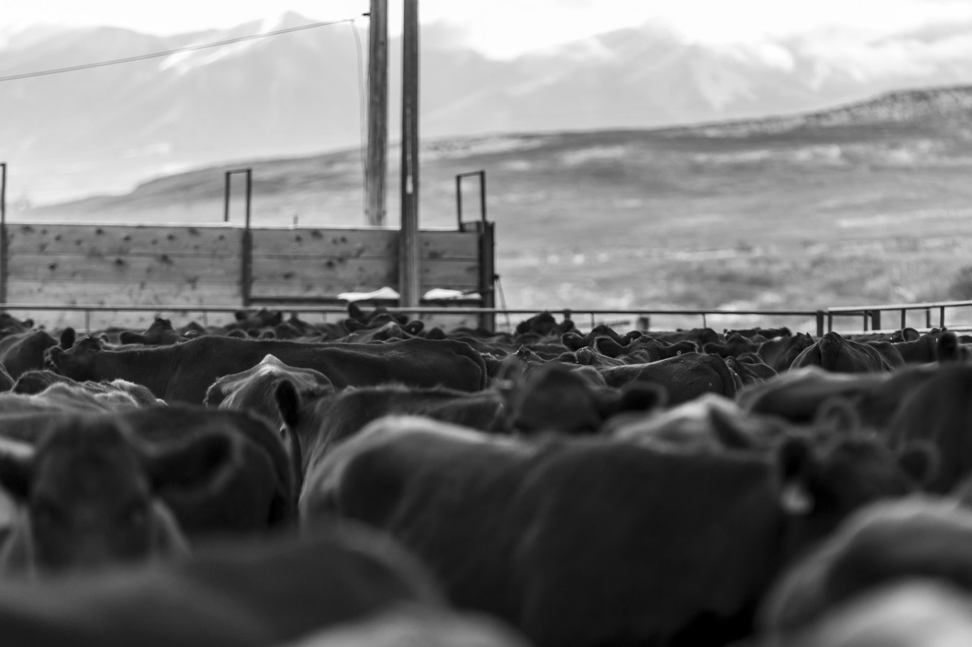 One Marine Corps Veteran’s Struggle to Keep His Family’s Ranch Alive ...