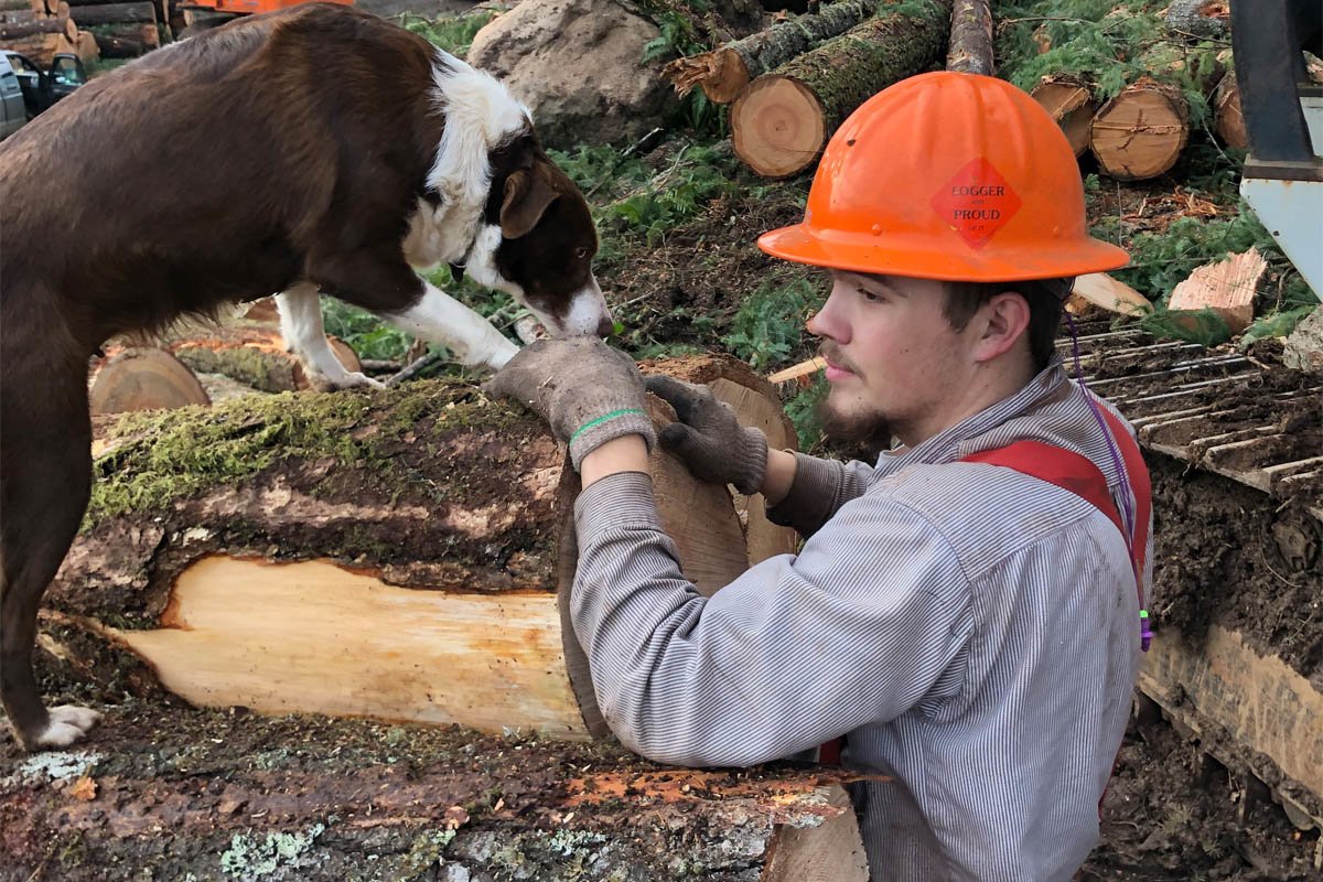 How Generations of Loggers Have Kept the Petersen Ranch Sustainable ...