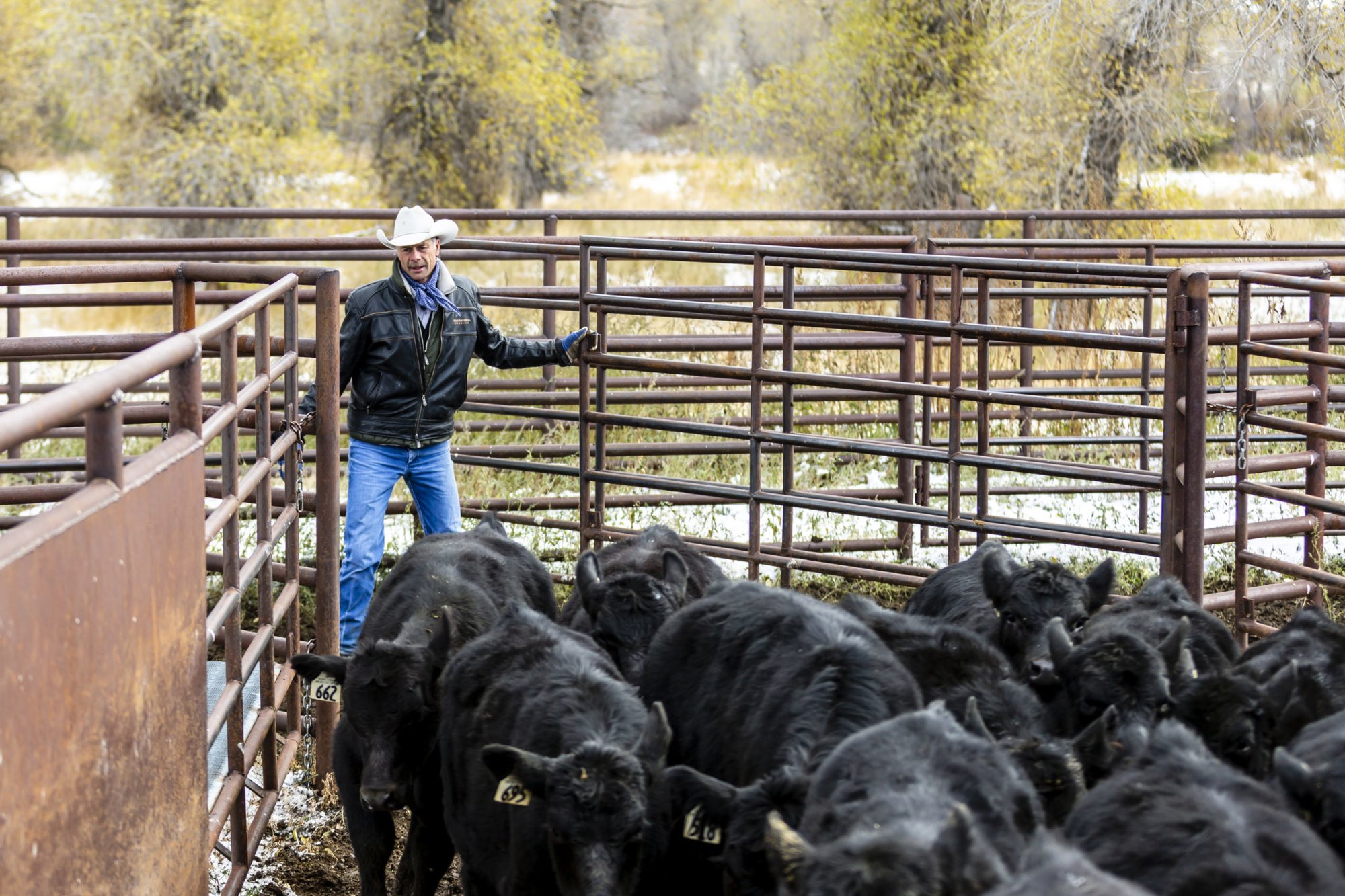 One Marine Corps Veteran’s Struggle to Keep His Family’s Ranch Alive ...