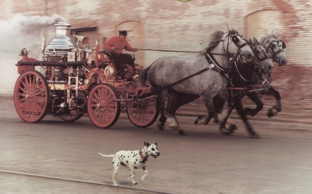 Four-Legged Smoke Eaters: How Dalmatians Became Official Mascots of the ...