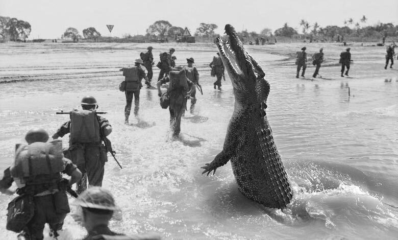 Did Crocodiles Really Eat Hundreds of Japanese Soldiers in World War II ...