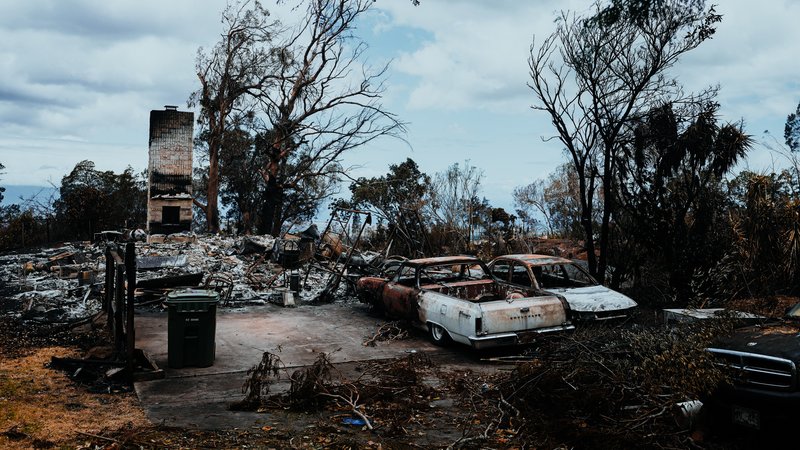 The Marines Have Joined the Hawaii Wildfire Recovery Effort | Coffee or Die