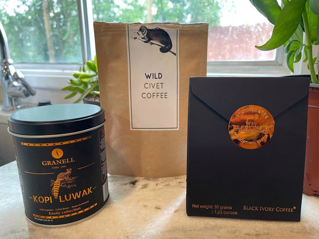 Poo-Brew: My Experience Drinking Literal Shit-Coffee | Coffee or Die