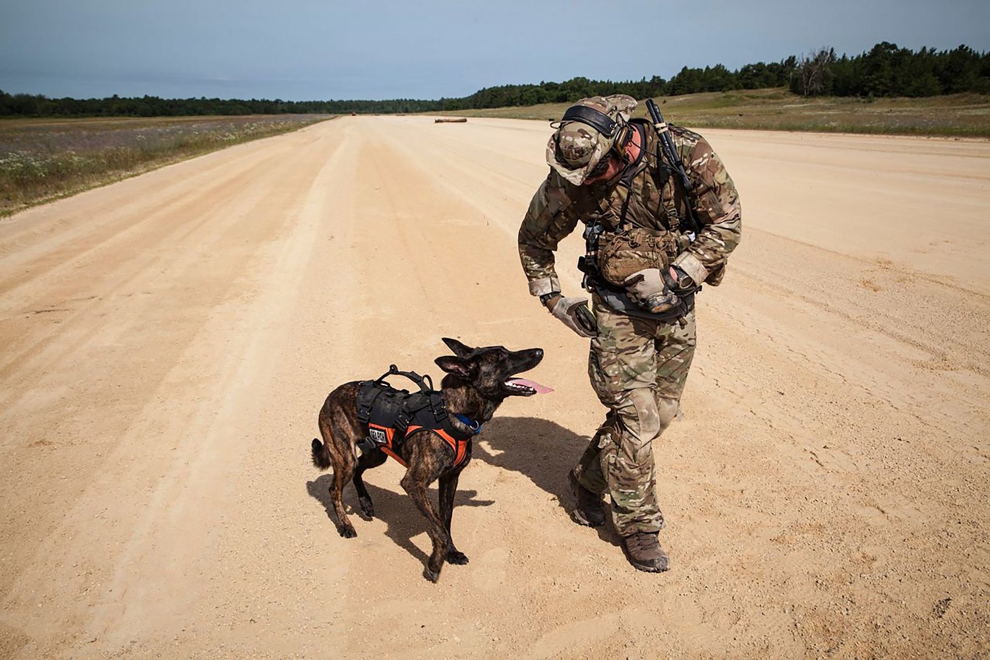 Meet Callie, the Military’s Only Search and Rescue Dog | Coffee or Die