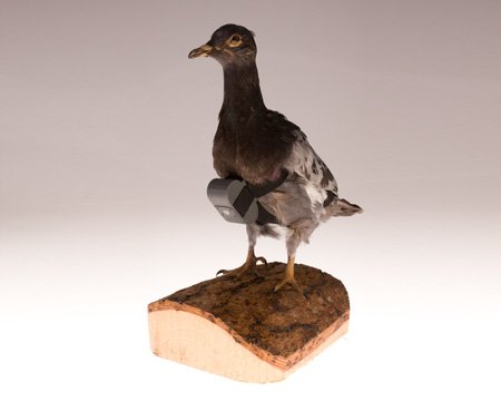 8 CIA Artifacts That Provide A Historical Timeline Of Intelligence ...