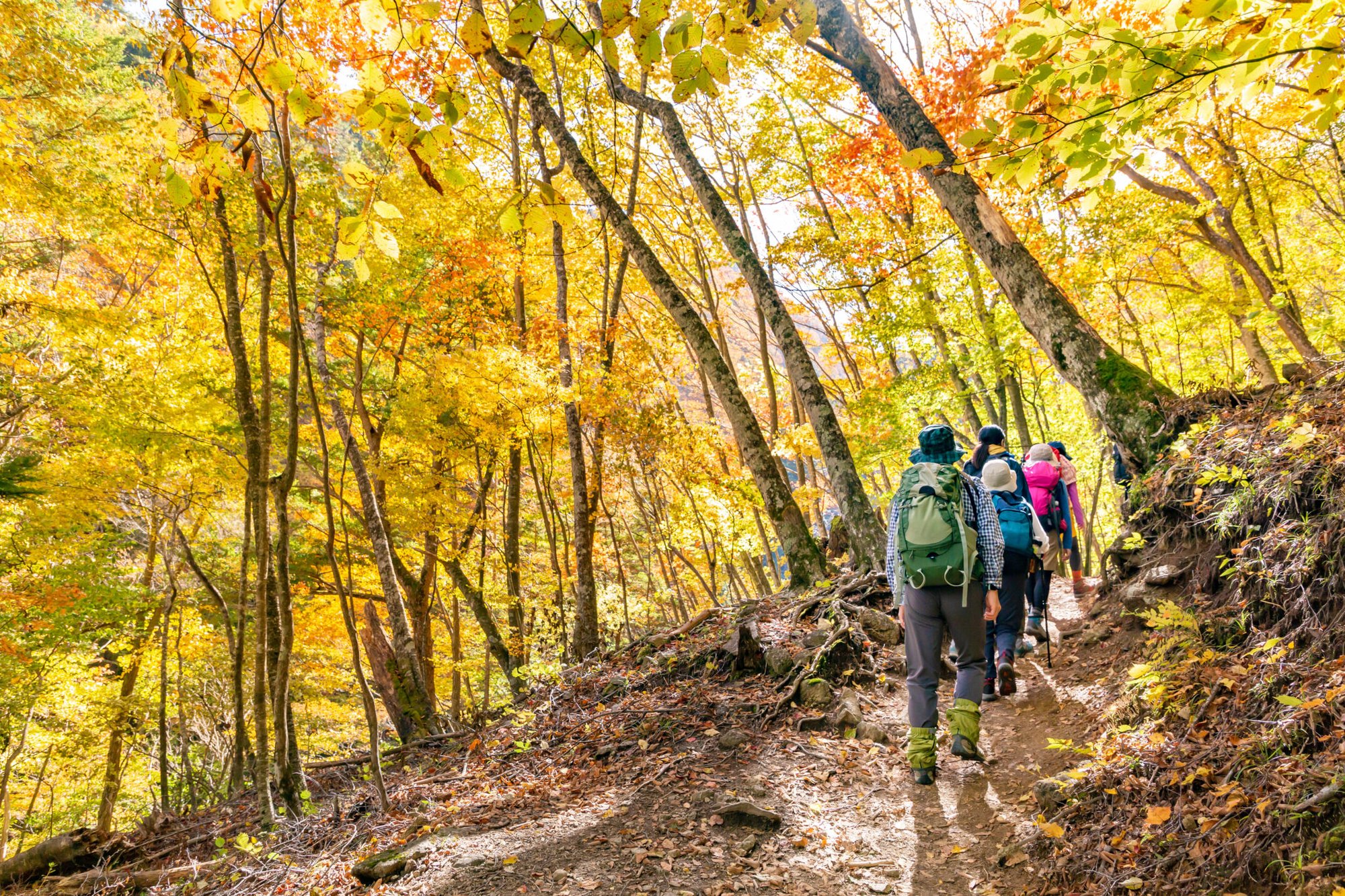 3 of the Most Beautiful US Hikes for Viewing Fall Foliage | Coffee or Die