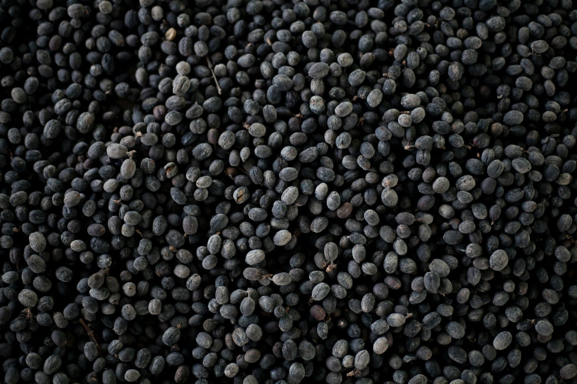 Yunnan Coffee: Are These Sweet Chinese Beans the Next Big Thing ...