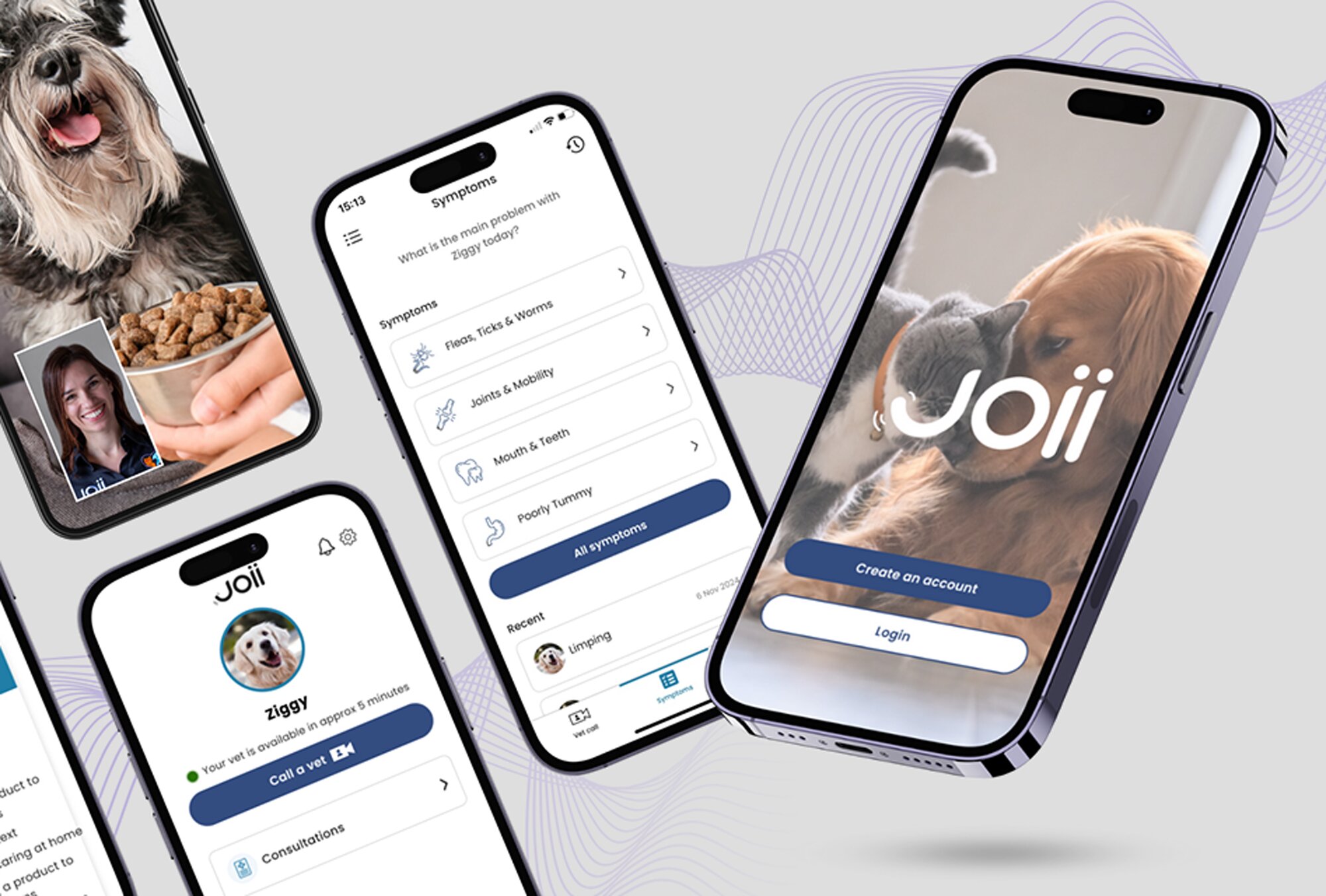 How Vet-AI Built an AI-Powered Healthcare Solution with Accedia - Accedia