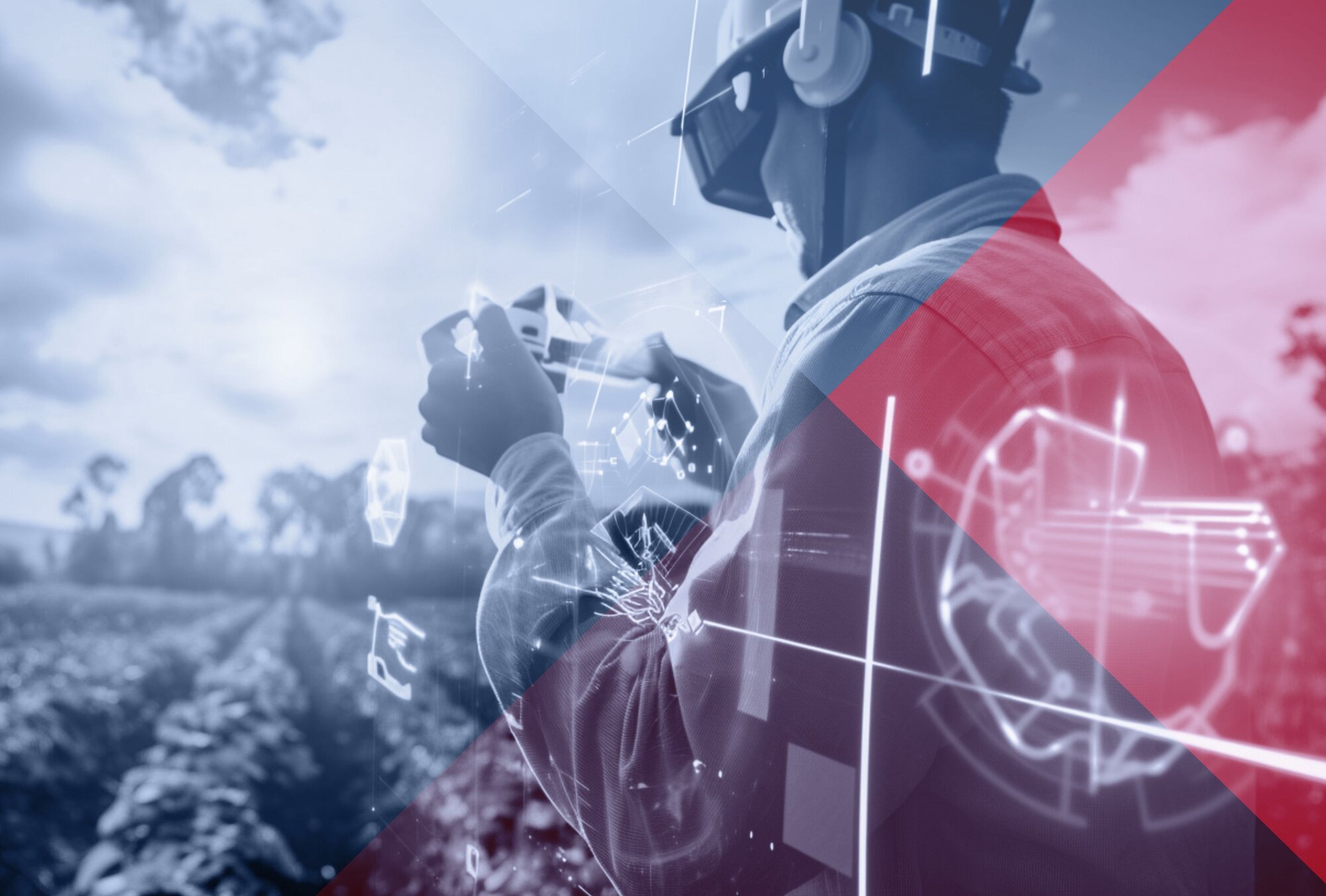 Artificial Intelligence Services - Accedia