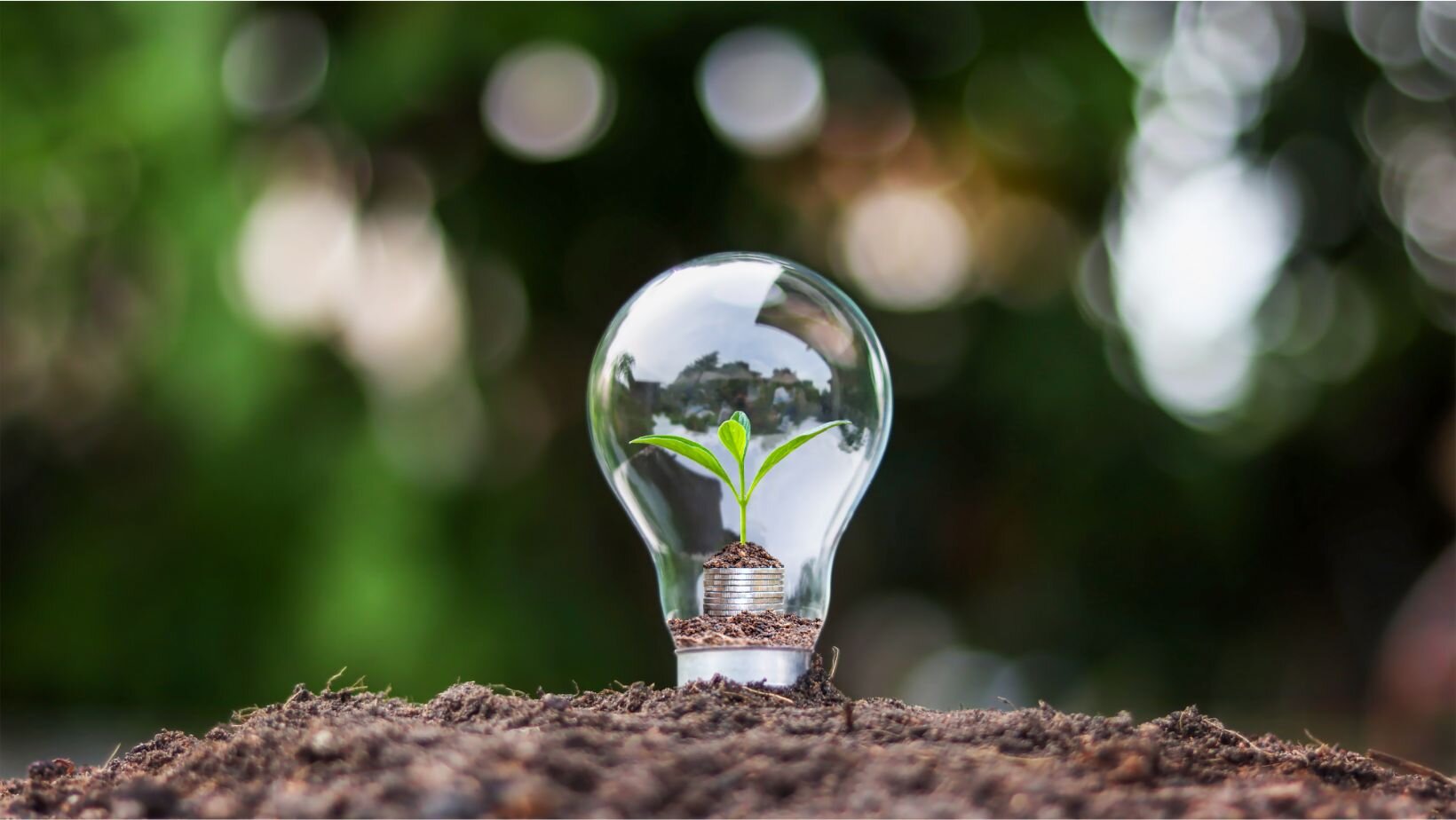 Green initiatives examples and the Accedia way - Accedia