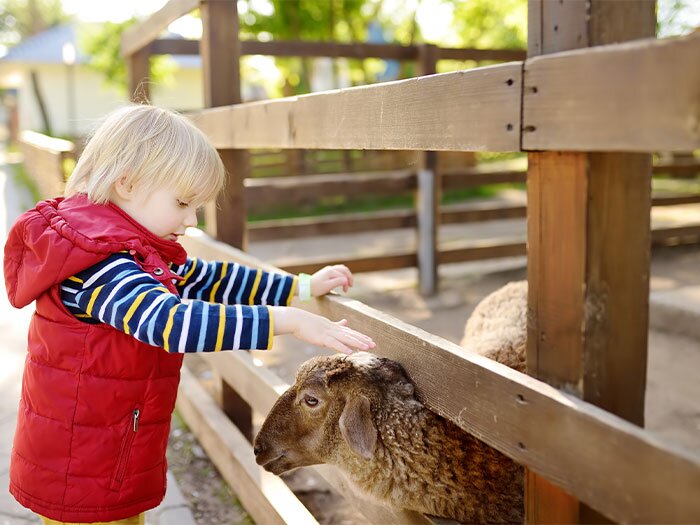 Fun Ideas for Hosting A Barnyard Themed Birthday Party – April 8, 2021 ...