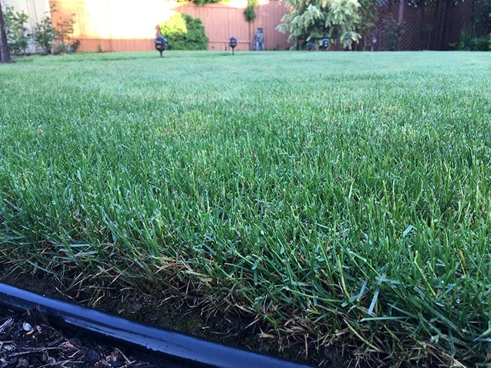 Sweet Soil – March 31, 2020 – Wilco Farm Stores