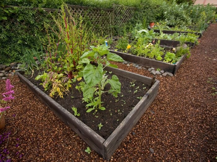 Mulching with Hazelnut Shells | Shop Home, Backyard, Pet, Farm & Rural ...