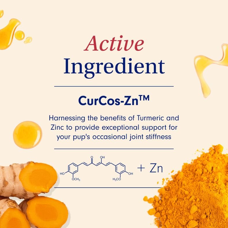 Mobility Pro Oil | Supports Dog Joint Health & Mobility | PetLab Co.