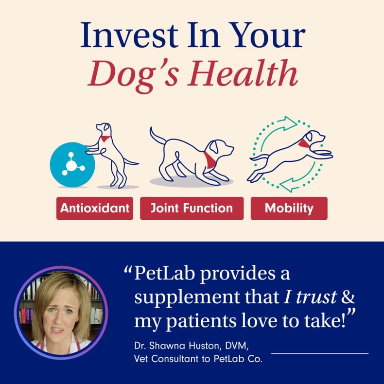 Mobility Pro Oil | Supports Dog Joint Health & Mobility | PetLab Co.