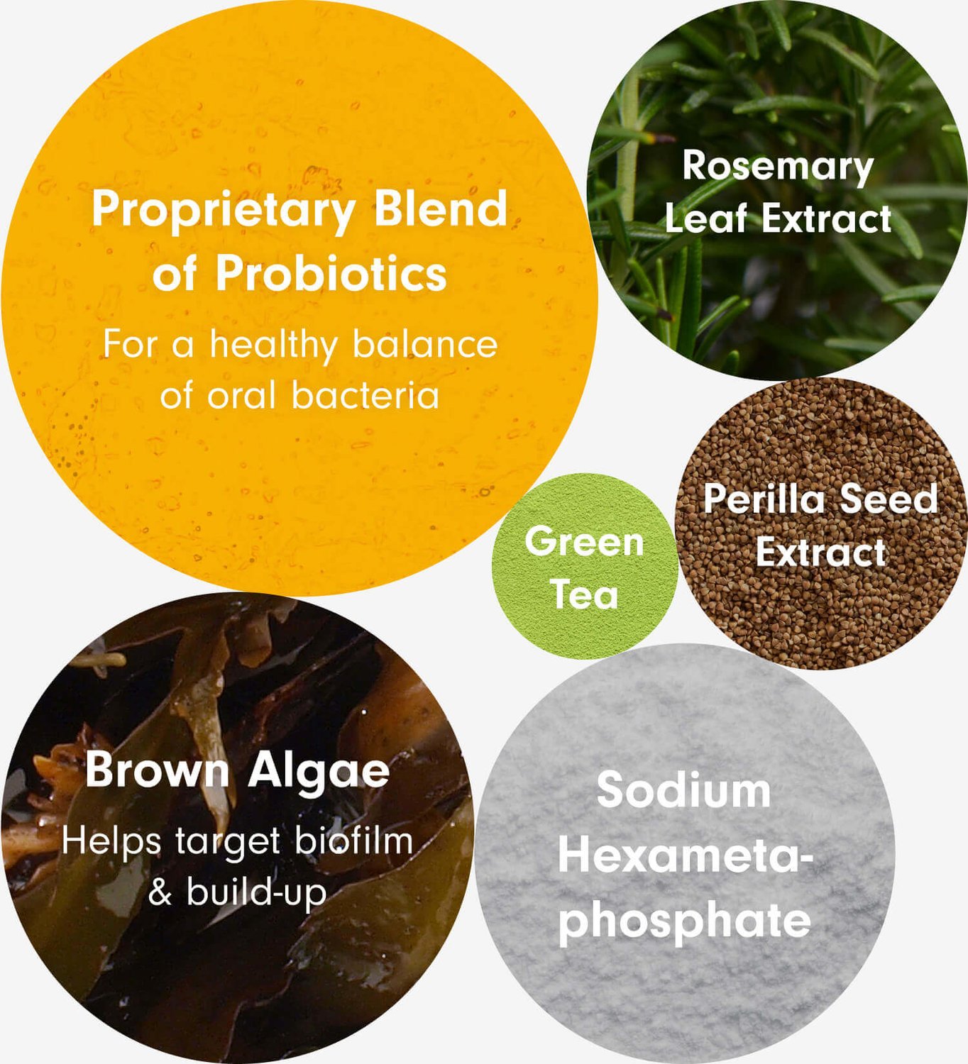 ProBright™ Powder | Helps Clean Teeth & Freshen Breath | PetLab Co.