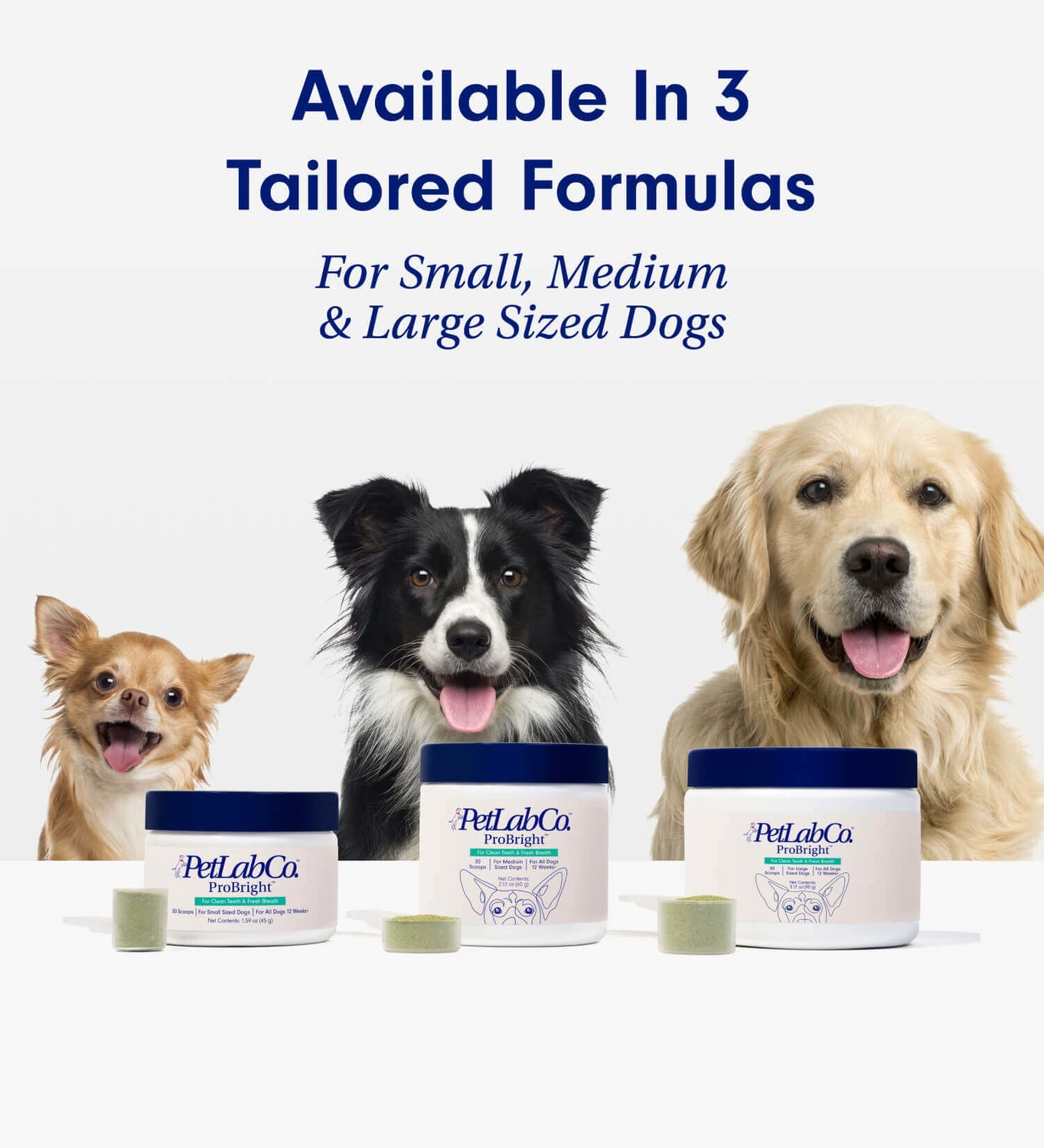 ProBright™ Powder | Helps Clean Teeth & Freshen Breath | PetLab Co.