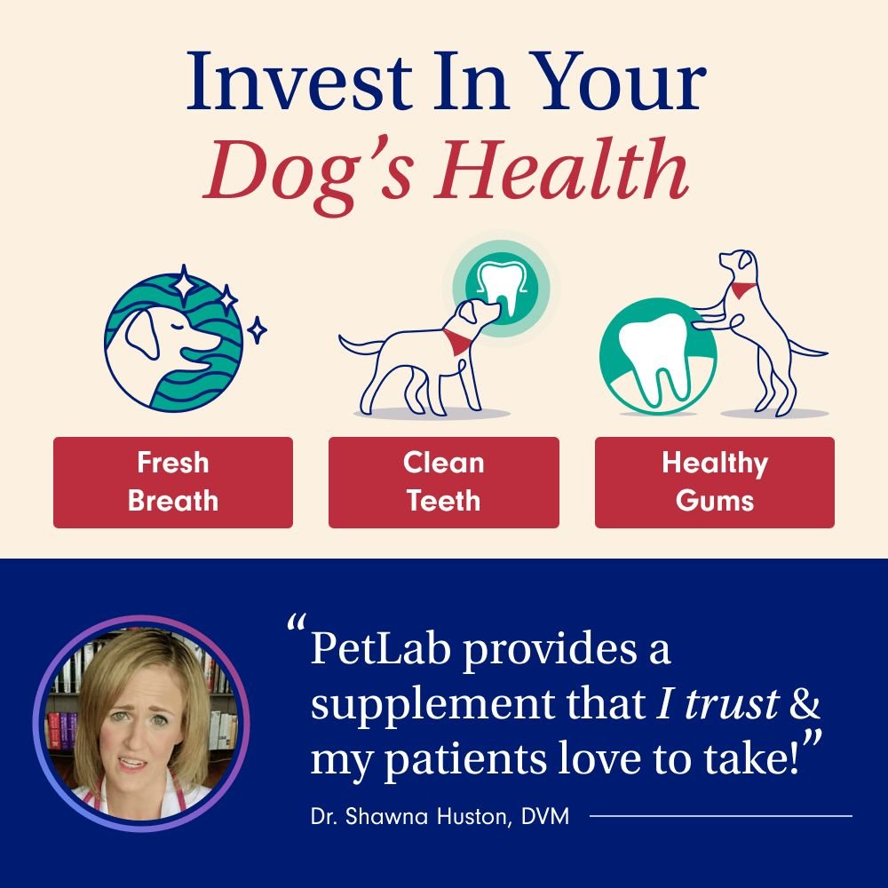 Dog Dental Formula | Targets Plaque & Tartar Build-Up | PetLab Co.