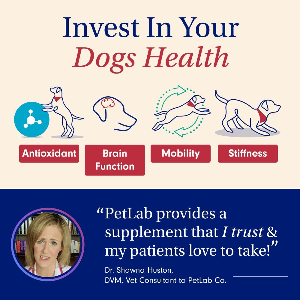 Mobility Bundle | Dog Joint & Mobility Supplements | PetLab Co.