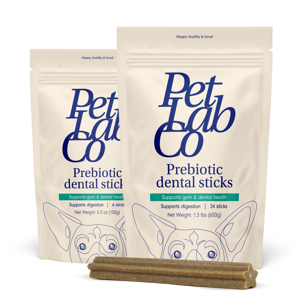 Dog Dental Health | For Optimum Teeth & Gums | PetLab Co.