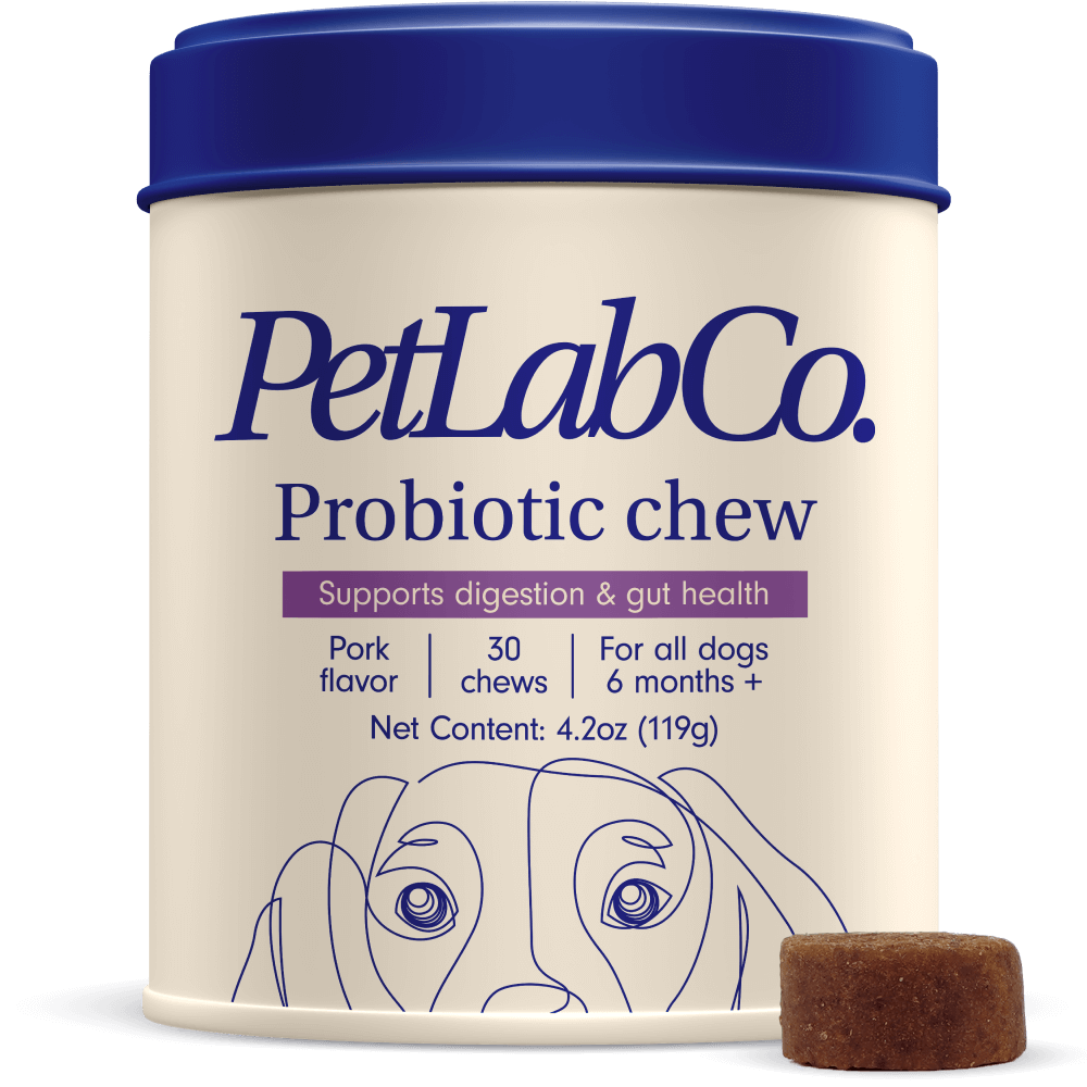 Probiotic Chews for Dogs | Support Gut Health | PetLab Co.