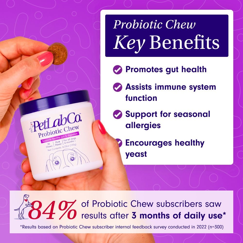 Dog Ear Yeast Bundle | For Itchy Skin & Head Shaking | PetLab Co.