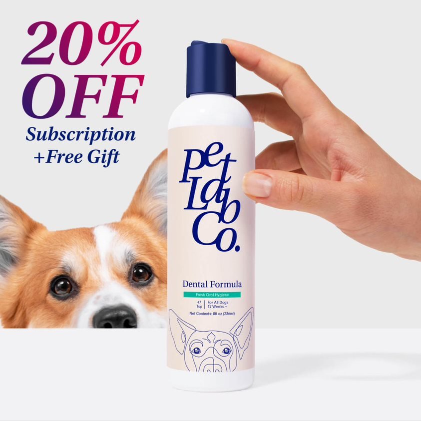 Dog Dental Formula | Targets Plaque & Tartar Build-Up | PetLab Co.