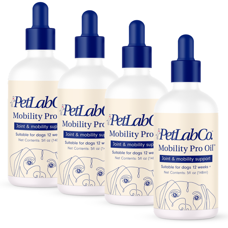 Mobility Pro Oil | Supports Dog Joint Health & Mobility | PetLab Co.