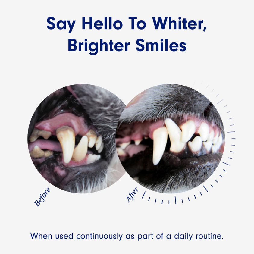 Dog Dental Formula | Targets Plaque & Tartar Build-Up | PetLab Co.