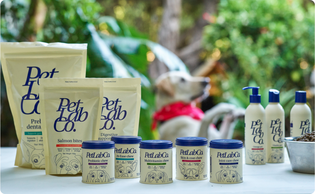 Petlab Co. - How Do You Know When A Dog Is Sick?