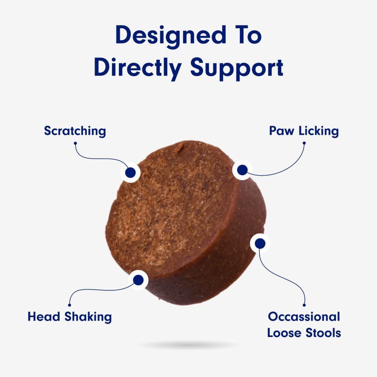 Probiotic Chews for Dogs | Support Gut Health | PetLab Co.