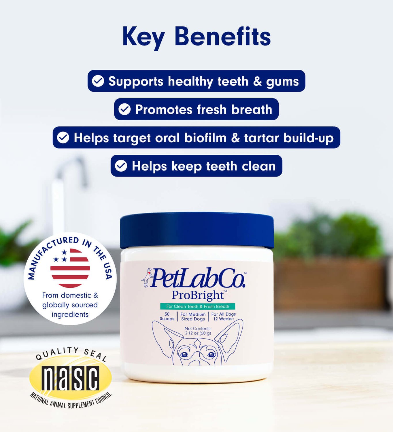 ProBright™ Powder | Helps Clean Teeth & Freshen Breath | PetLab Co.