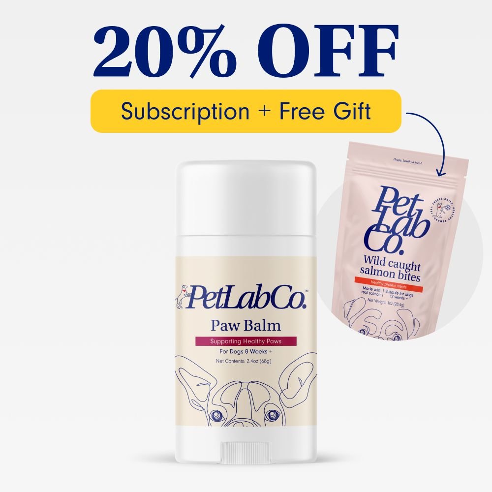 Paw Balm For Dogs | Treat Your Dog’s Dry, Cracked Paws | PetLab Co.