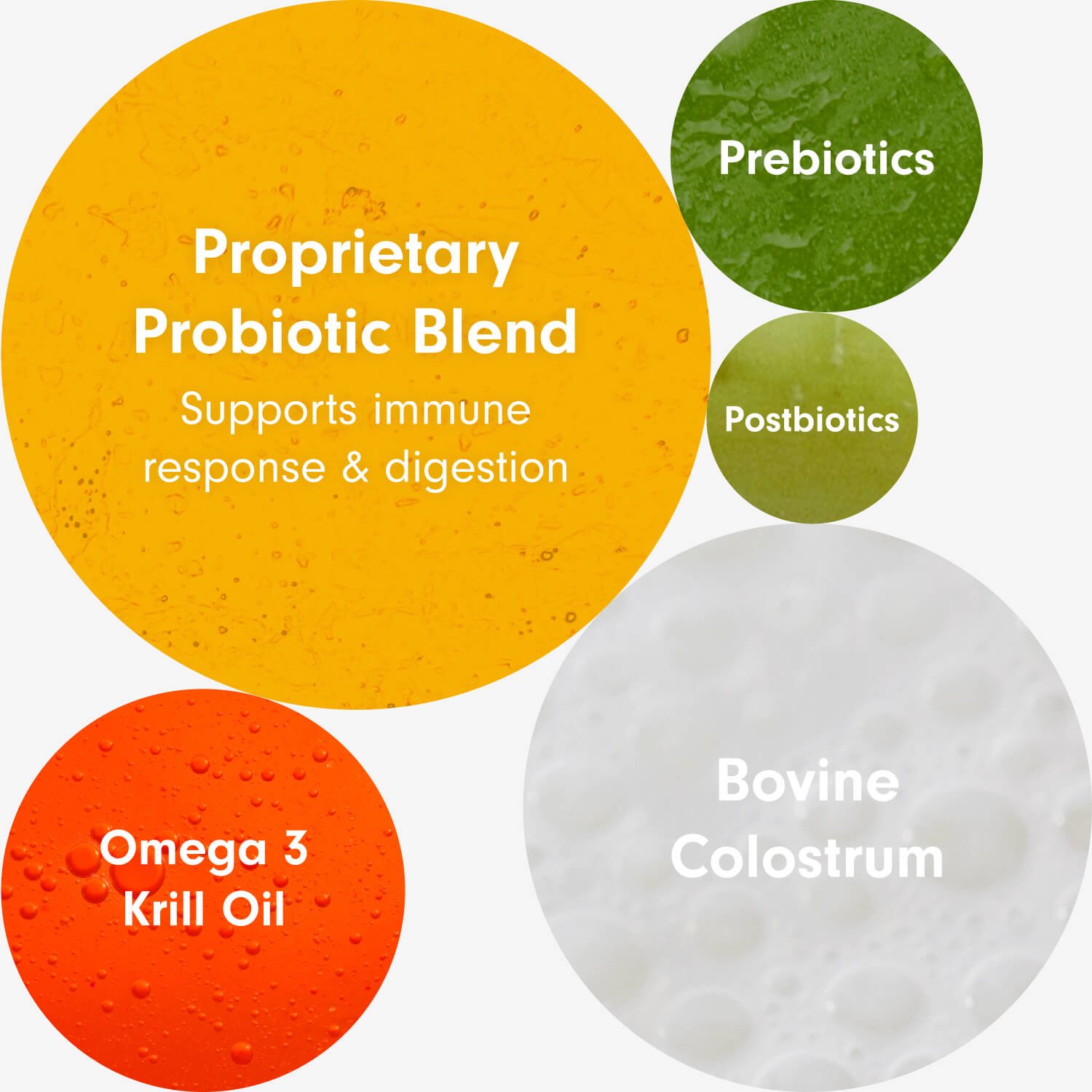 Allergy & Immune Probiotic Chew For Dogs | PetLab Co.