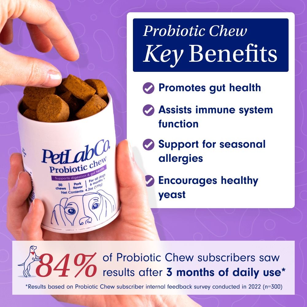 Dog Ear Yeast Bundle | For Itchy Skin & Head Shaking | PetLab Co.