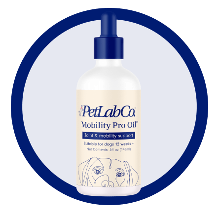 Mobility Bundle | Dog Joint & Mobility Supplements | PetLab Co.