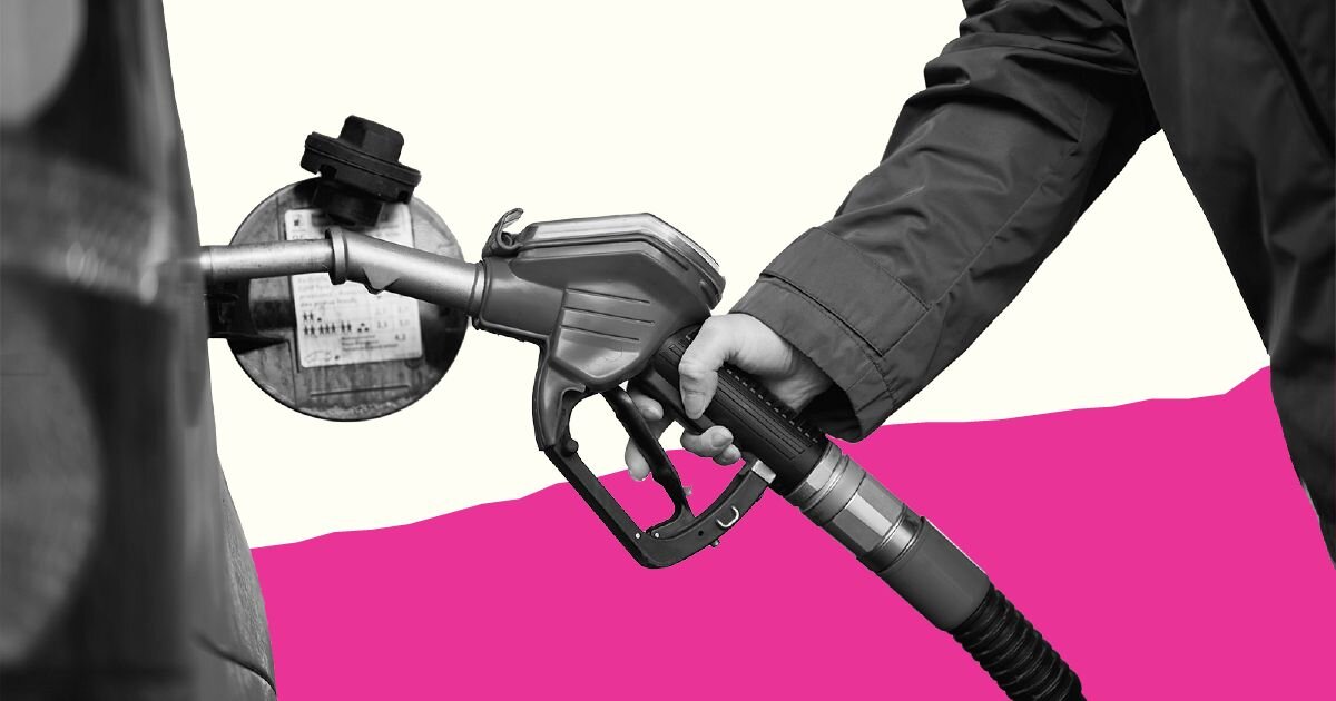 What is the most common vehicle fuel type in each US state? | USAFacts