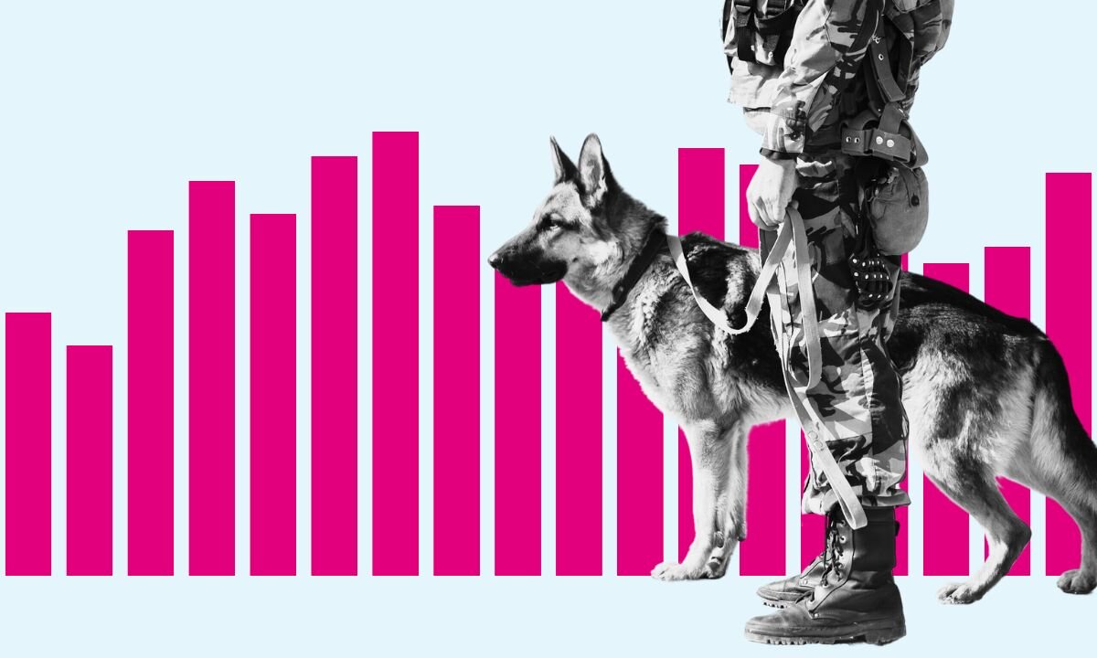 Dogs with jobs: data on canine employment in the US government | USAFacts