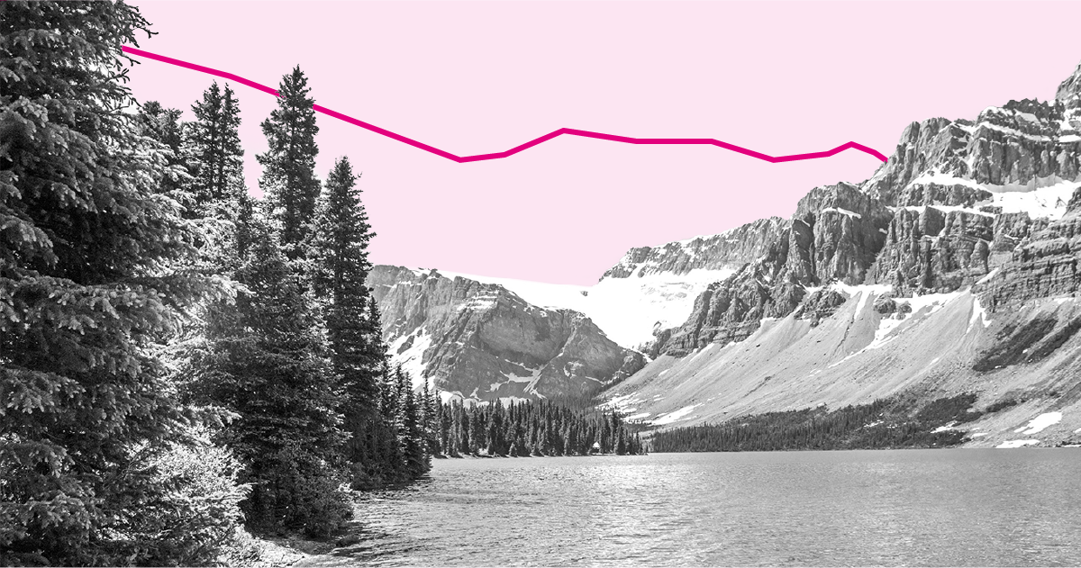 How much have US bee populations fallen, and why? | USAFacts