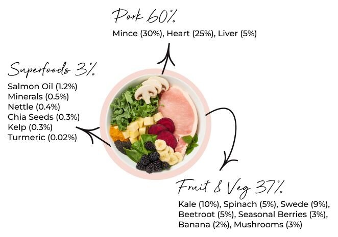 Pork Ragu | Different Dog